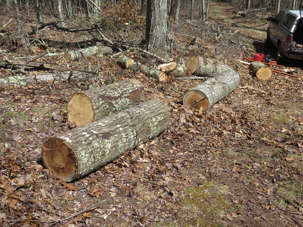 The Barn on White Run | Practicing Log Splitting and Building A Riving ...